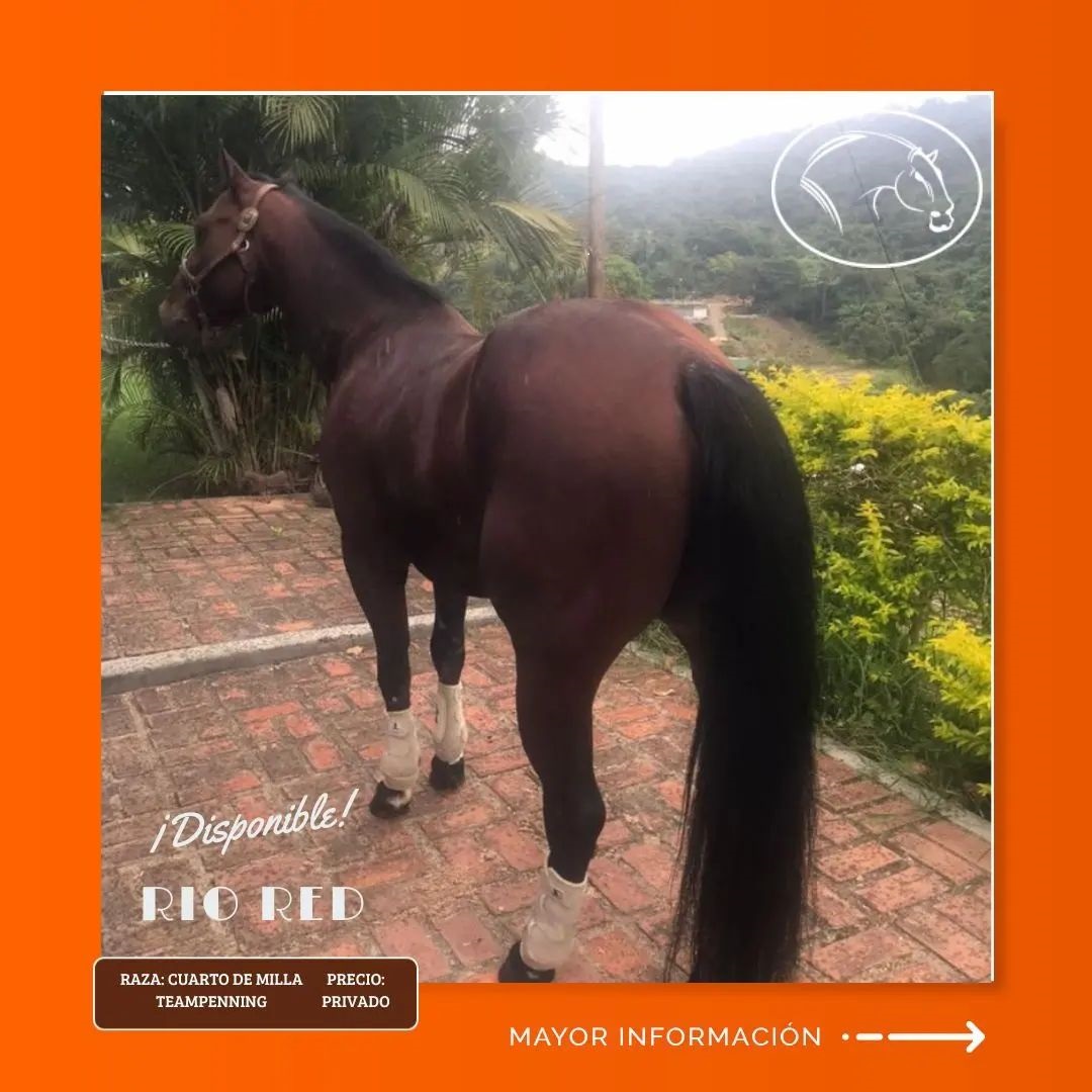 RIO RED - Equinabursatil