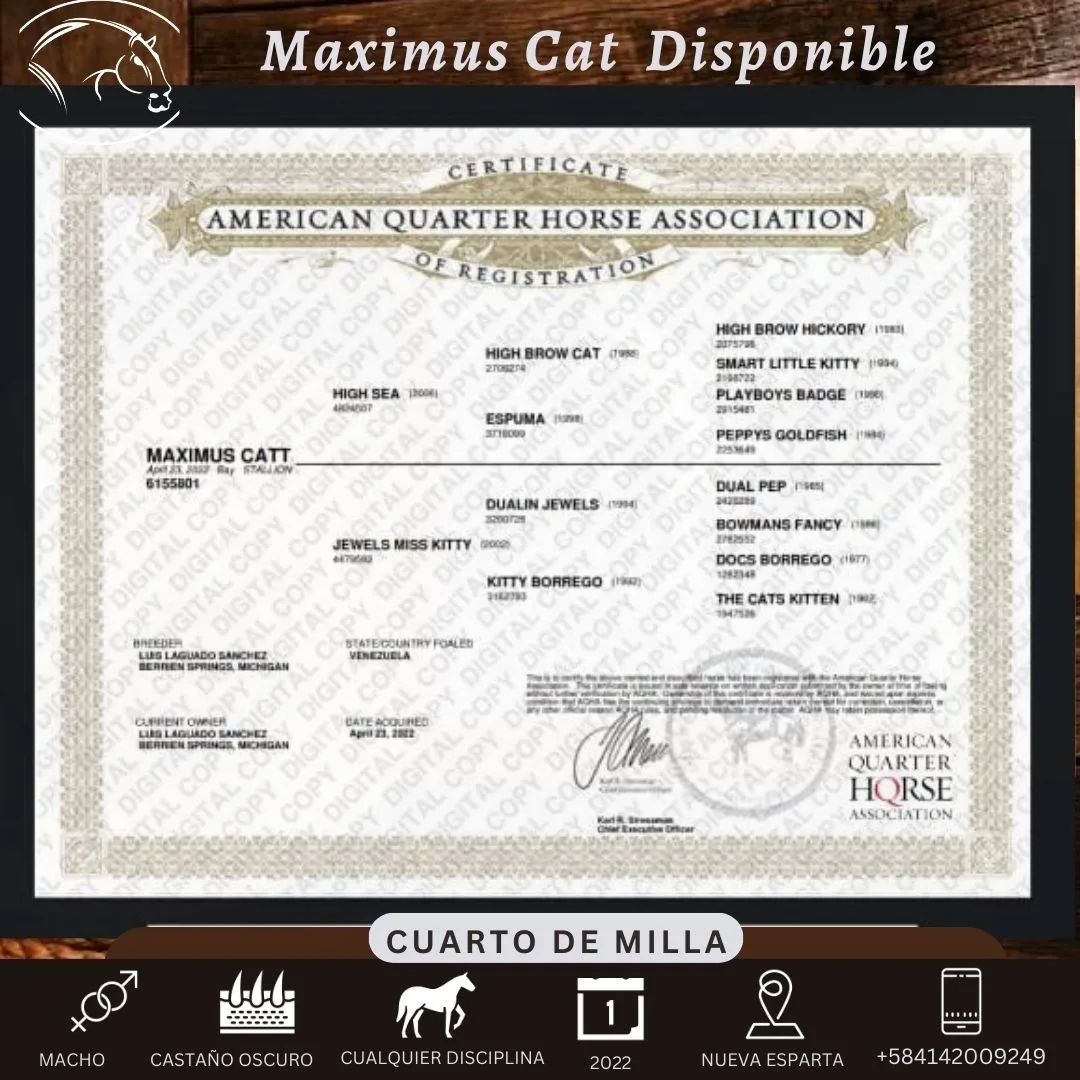 MAXIMUS CAT - Equinabursatil